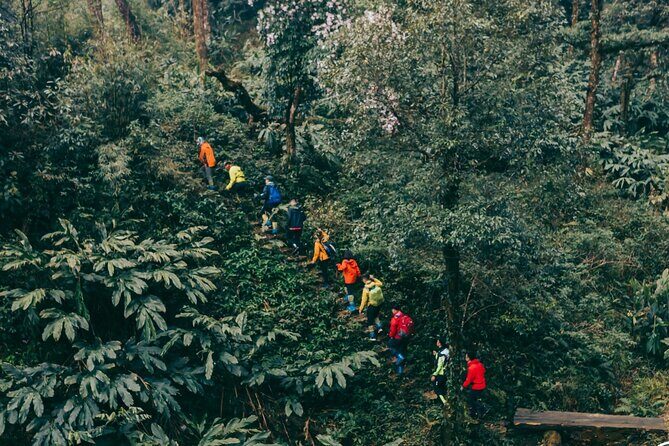 Private 1 Day Fansipan Conquering And Trekking - What Past Participants Say