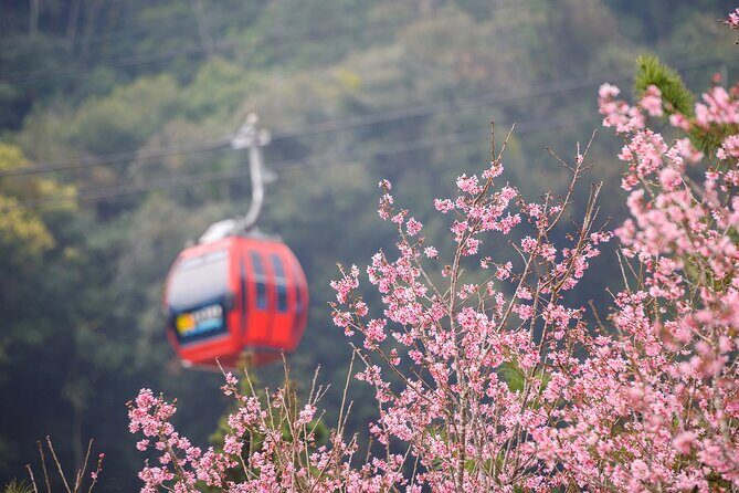 Private 1 Day Sun Moon Lake Escape Tour from Taipei - FAQs About the Sun Moon Lake Private Tour