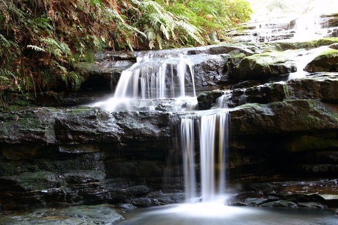 Private 10-hour Tour to Blue Mountains from Sydney - Hotel pick up & drop off - FAQs About the Blue Mountains Private Tour
