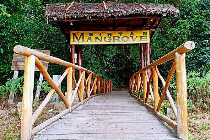 Private 10KM ATV Explore Jungle - FAQ