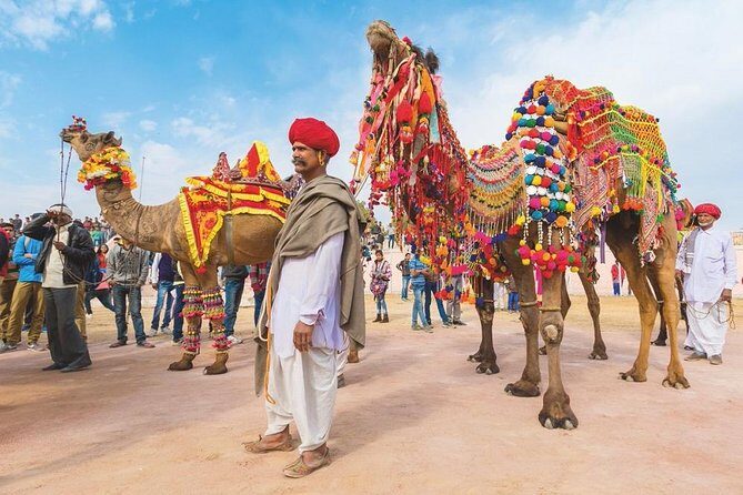 Private 11 Days India Cultural Rajasthan Tour - Transportation and Comfort