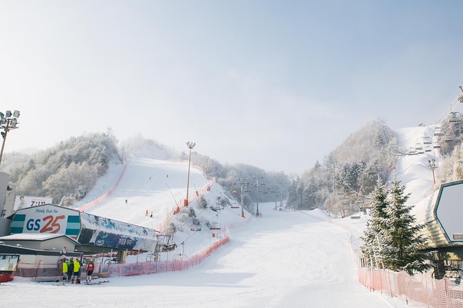 Private 1:1 Ski Lesson near Seoul, South Korea - Practical Details to Keep in Mind