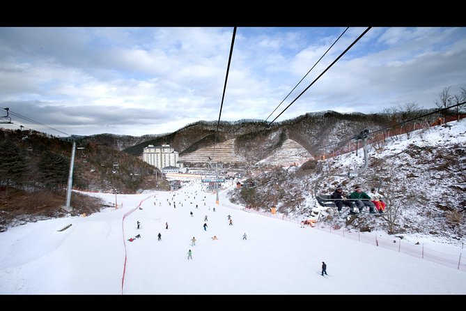 Private 1:1 Ski Lesson near Seoul, South Korea - Who Is This Tour Best For?