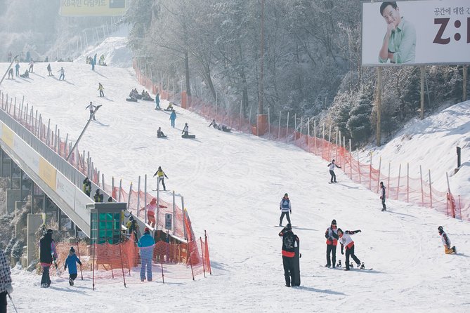 Private 1:1 Ski Lesson near Seoul, South Korea - The Sum Up: Why Choose This Ski Lesson?
