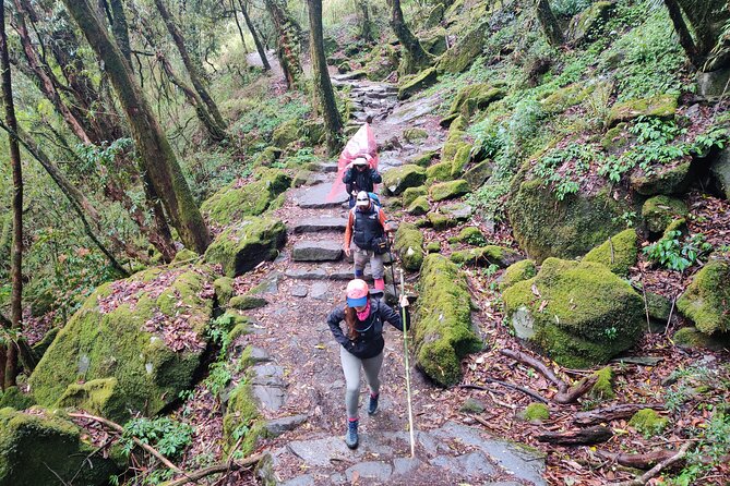 Private 12-Day All Inclusive Guided Annapurna Base Camp Trek Tour - Practical Considerations