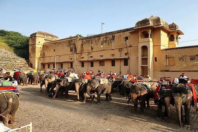 Private 13 Day Rajasthan Heritage Tour With Taj Mahal & Delhi - Who Will Love This Tour?