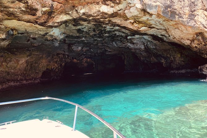 Private: 1h30 Boat tour of the caves of Polignano a Mare - What Do the Reviews Say?