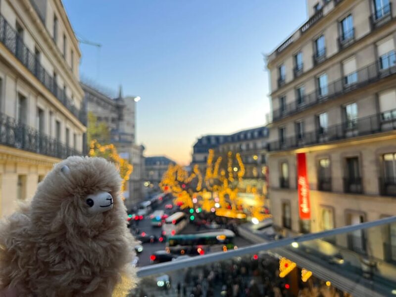 Private 2-3 hours Montmartre walking tour - Timeless charm - Practical Details and Value