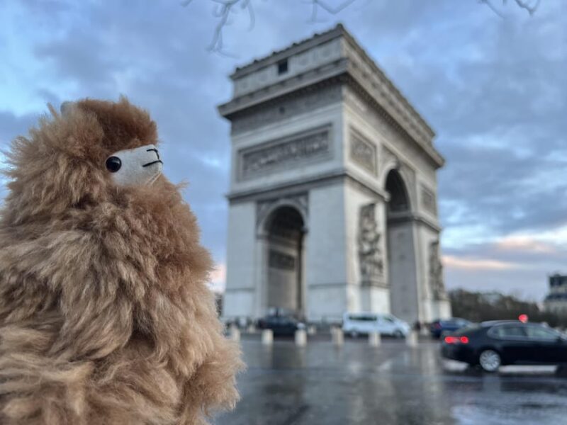 Private 2-3 hours Montmartre walking tour - Timeless charm - Who Will Love This Tour?