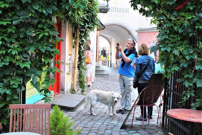 Private 2.5-Hour Tour of Tallinn Old Town in a Spacious Mercedes Minivan - An In-Depth Look at the Tour Experience