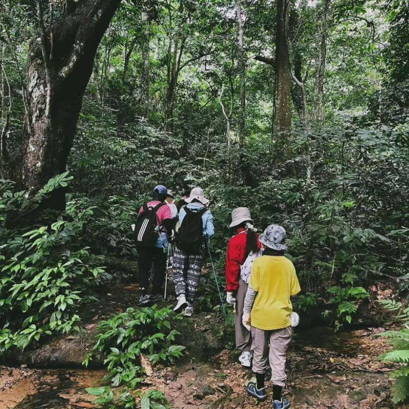 Private 2-Day Cuc Phuong National Park and Van Long Tour - The Night Walk: Nocturnal Wildlife Encounters