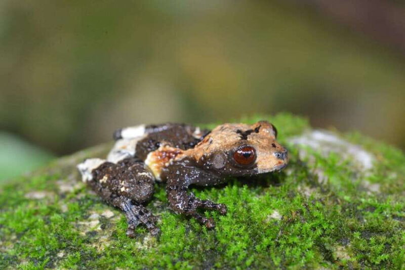 Private 2-Day Cuc Phuong National Park and Van Long Tour - Final Thoughts