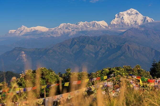 Private 2-Day Poon Hill Hike with Meals - Key Points