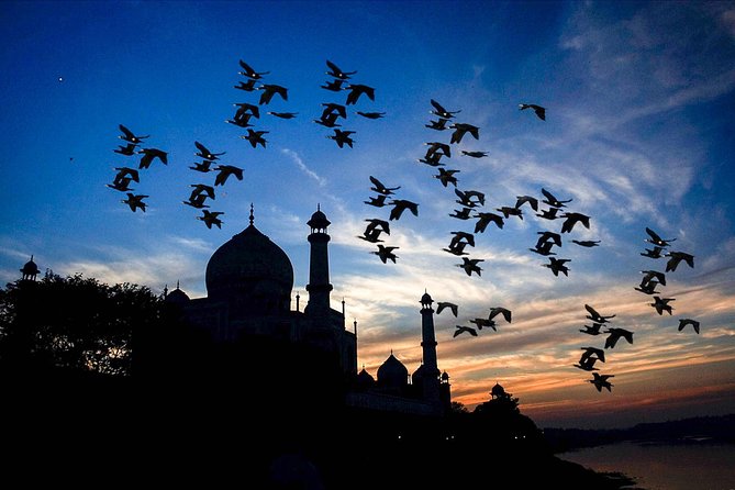 Private 2 Days Agra Taj mahal & Delhi Tours From Hyderabad - The Experience of the Guides