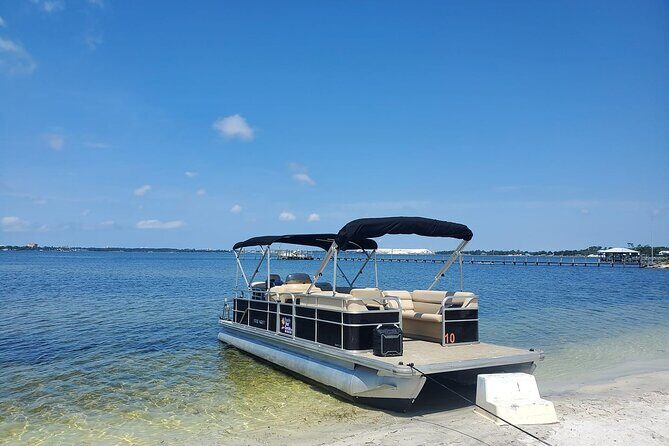 Private 2-Hour Dolphin and Sightseeing Tour - What You Can Expect from the Experience