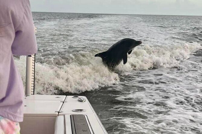 Private 2 Hour Dolphin & Eco Tour Marco Island, FL - FAQ
