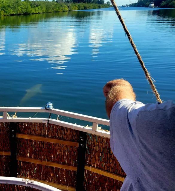 Private 2 hour Dolphin Sightseeing tour- Melbourne - The Experience: Details and Highlights