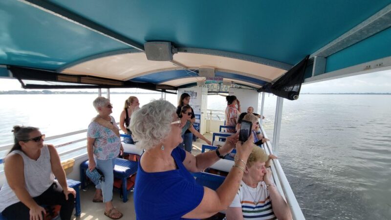 Private 2 hour Dolphin Sightseeing tour- Melbourne - Who Will Love This Experience?