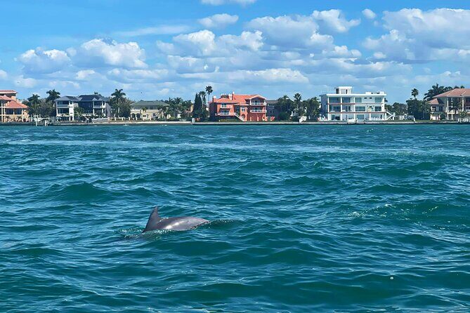 Private 2-Hour Dolphin Watching Cruise in St. Petersburg, FL - Why Travelers Love This Tour