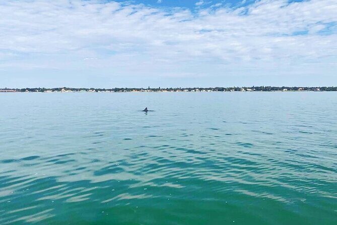 Private 2-Hour Dolphin Watching Cruise in St. Petersburg, FL - FAQs