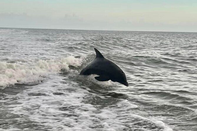 Private 2 Hour Sunset Cruise Marco Island, FL - FAQ