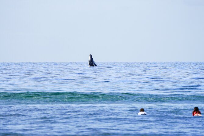 Private 2 hour Surf Lessons with Experienced Coaches - Why Choose Maui Surfer Girls’ Private Surf Lessons?