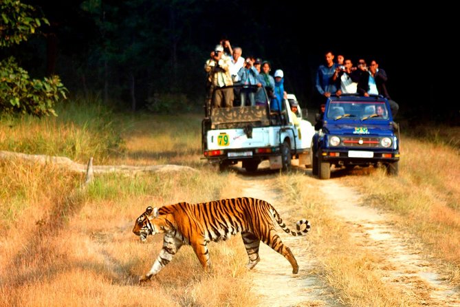 Private 2 Nights Short Escape To Jim Corbett - The Itinerary in Detail: What You Can Expect
