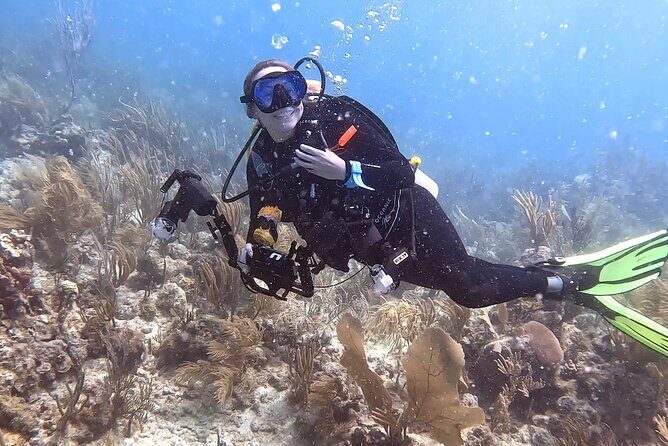 Private 2-Tank Dive with PADI Instructor for Certified Divers - A Closer Look at the Private 2-Tank Dive with PADI Instructor in Fajardo, Puerto Rico
