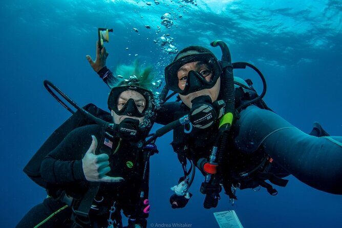 Private 2-Tank Dive with PADI Instructor for Certified Divers - Key Points