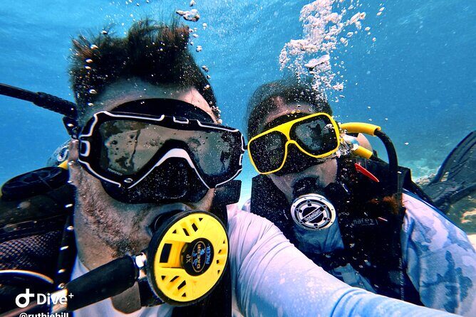 Private 2-Tank Dive with PADI Instructor for Certified Divers - The Practicalities: What You Need to Know