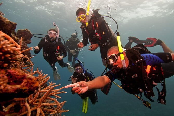 Private 20 Minutes Donut Ride in Negombo - Who Should Consider This Activity?