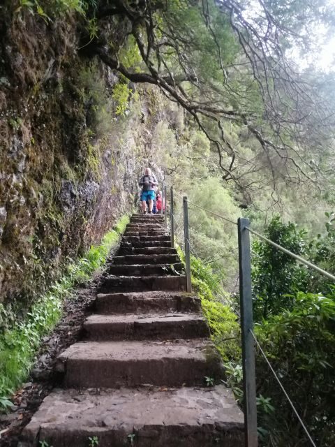 Private - 25 Fontes and Risco Waterfall Guided Tour - Return Journey and Refreshments