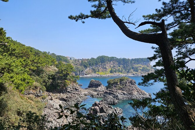 Private 2Days Tour a lot of Experience Driver in jeju island - What Past Travelers Say