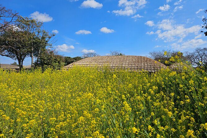 Private 2Days Tour a lot of Experience Driver in jeju island - The Sum Up