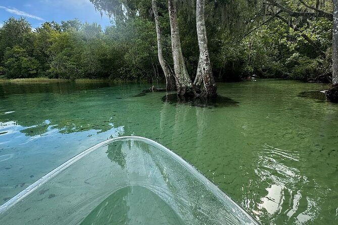 Private 2Hour Clear Kayak/ROC Paddle Board Rental on Silver River - The Sum Up: Is It Worth It?