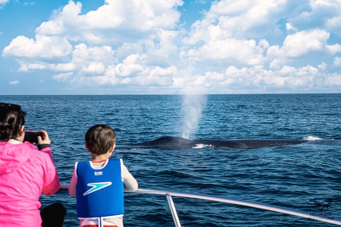 Private 2hr Supreme Whale/Dolphin Watching Tour, Newport Beach CA - Safety and Comfort