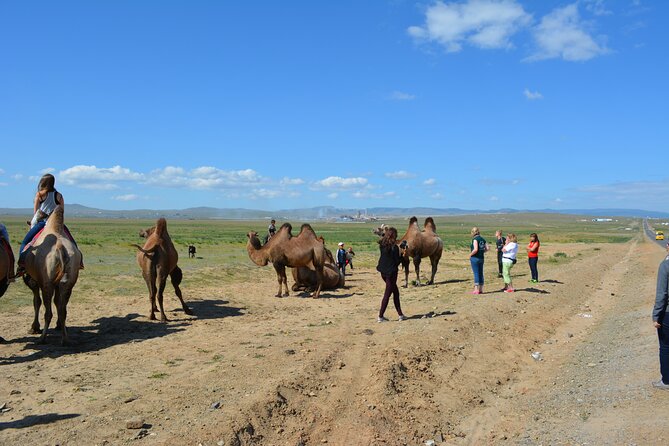 Private 3-Day Tour of National Parks From Ulaanbaatar - The Authentic Experience