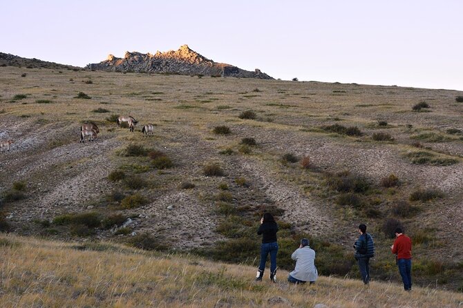 Private 3-Day Tour of National Parks From Ulaanbaatar - Who Should Consider This Tour?