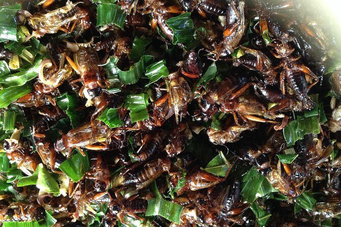 Private: 3 days 2 night trip: ChaingMai-Chaingrai- The Golden Triangle trip - Who Should Consider This Tour?