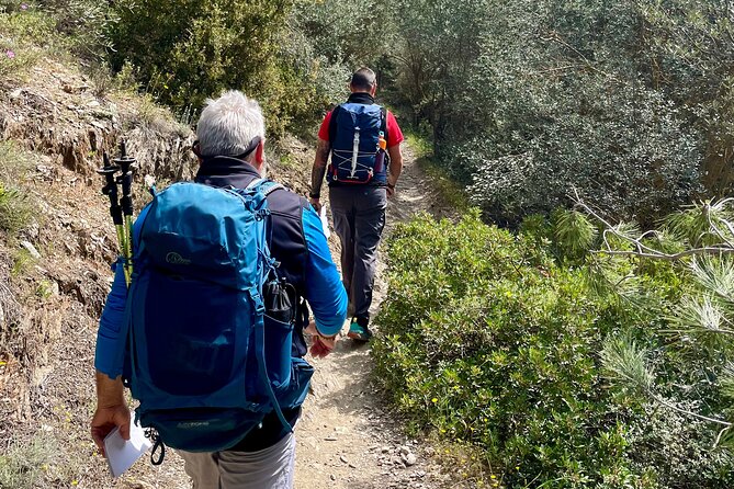 Private 3-Hour Hiking in Mount Ymittos - Key Points