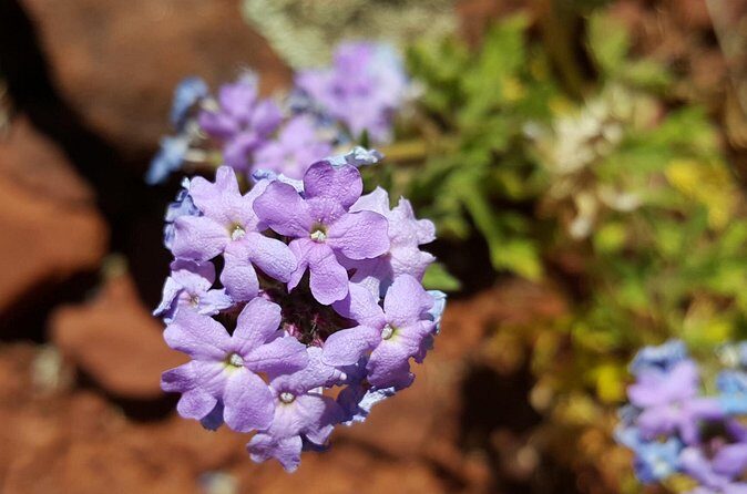 Private 3-Hour Sedona Metaphysical Photography Tour - FAQ