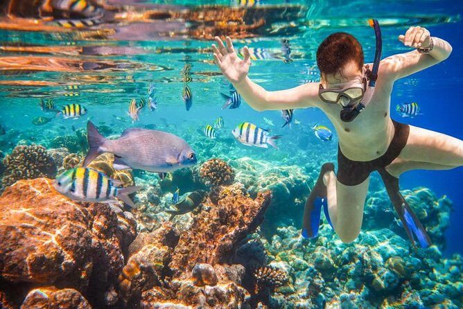 Private 3-Hour Snorkeling Tour with Arch Tour and Beach Time - Real Traveler Experiences: Authentic Perspectives