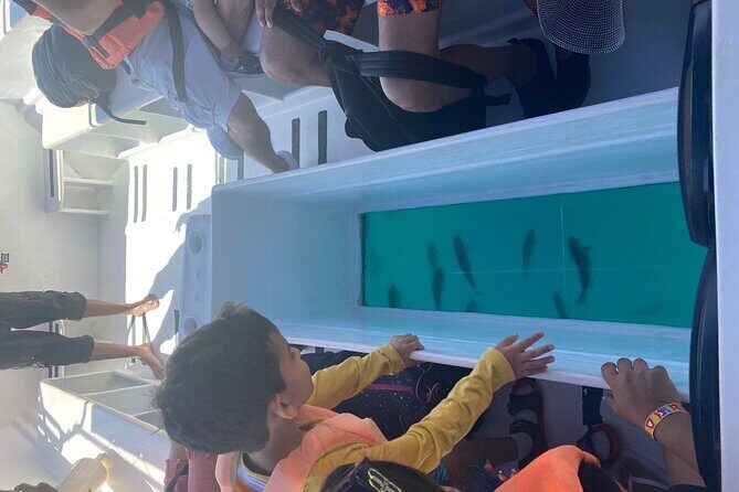 Private 3-Hour Snorkeling Tour with Arch Tour and Beach Time - Final Thoughts