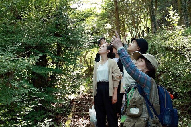 Private 3 Hours Ukiha's Forest Visit with Yoga Activity - Key Points
