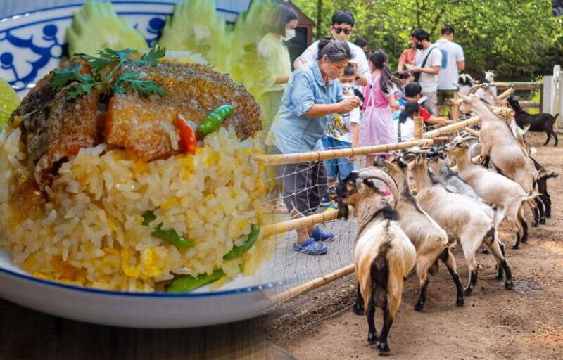 Private 3 IG Cafe + Don Wai Floating Market: from Bangkok - What We Love About This Tour