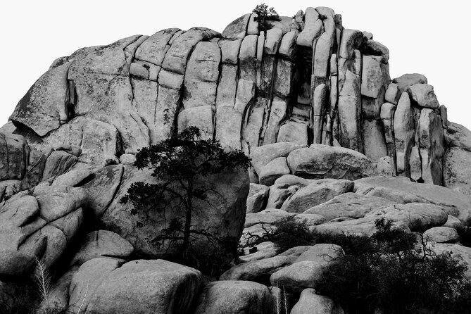 Private-36 Hour Adventure in Joshua Tree National Park - The Experience in Action: Insights from Travelers
