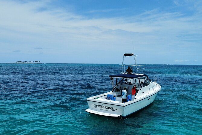 Private 38' Defender Sportfishing/Swim with Pigs in Nassau - Key Points
