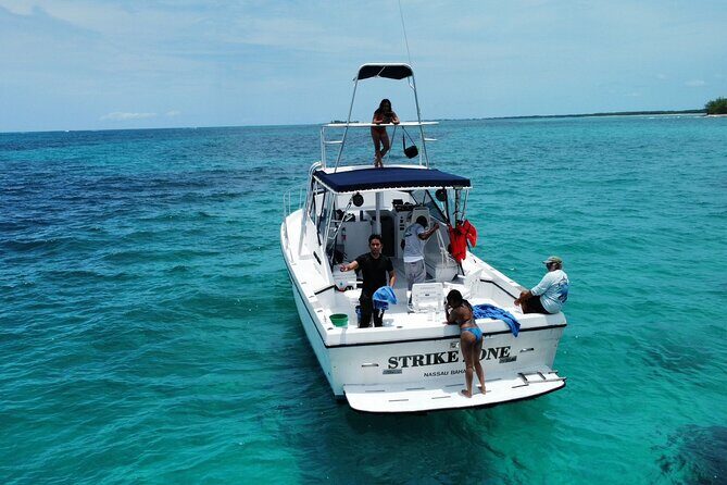 Private 38' Defender Sportfishing/Swim with Pigs in Nassau - Real Traveler Insights