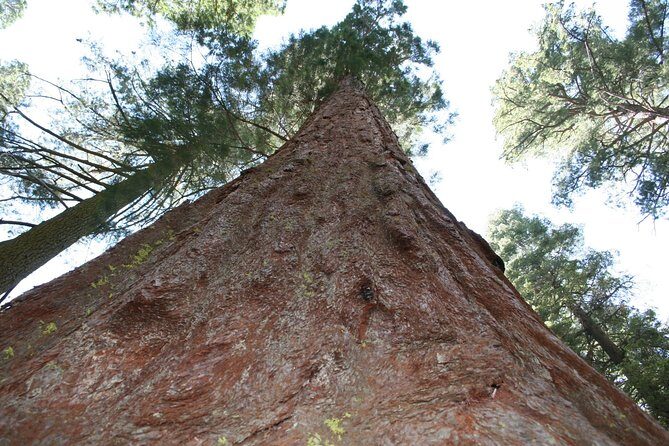 Private 4-Day Death Valley and Yosemite Tour from Las Vegas - Day 3: Yosemite’s Iconic Sights
