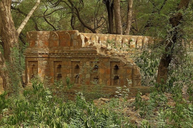 Private 4-Day Tiger Safari and Golden Triangle Tour from Delhi - Day 3: Jungle Safari in Ranthambore